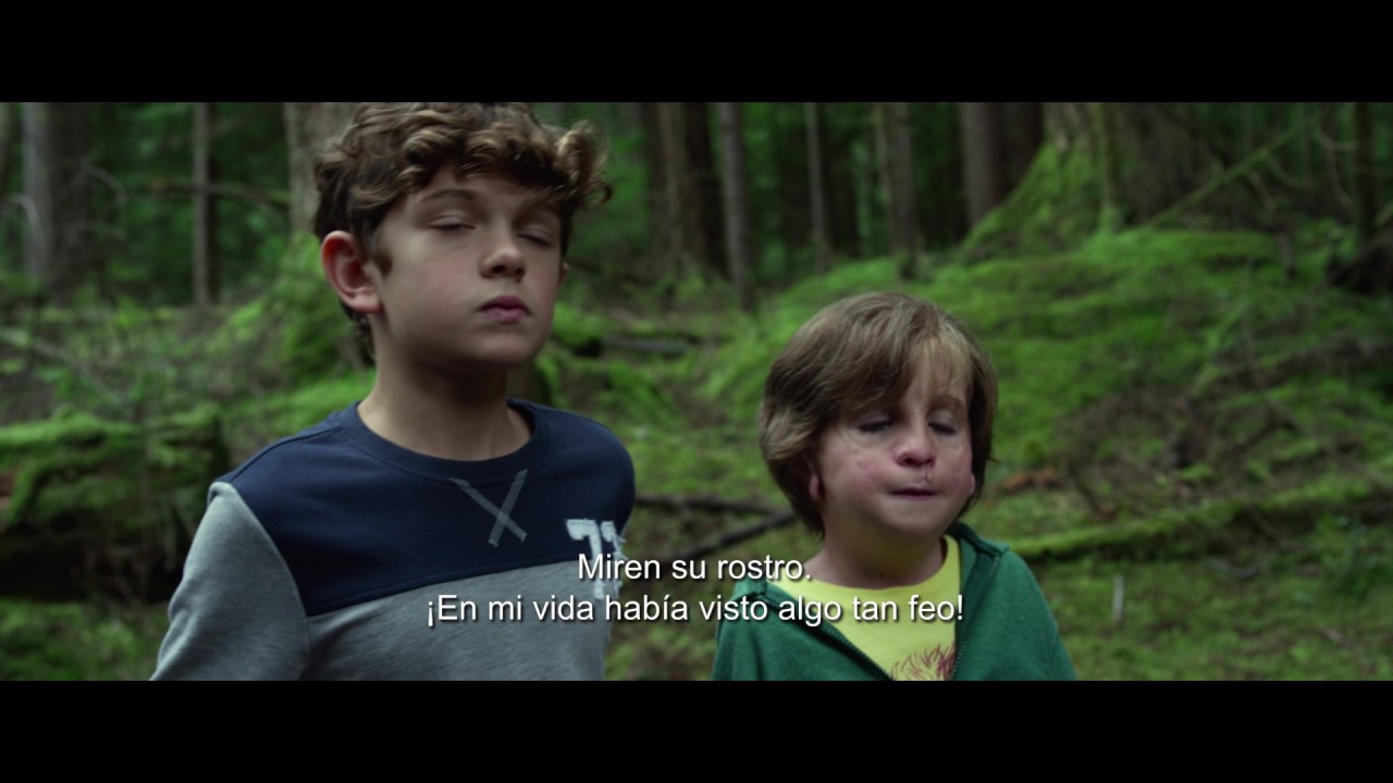 Extraordinario (2017)